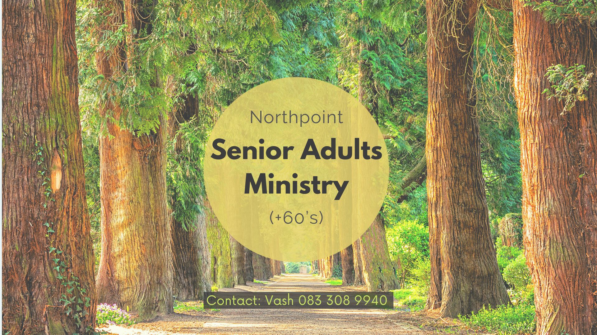 Life @ NPCC – Northpoint City Church